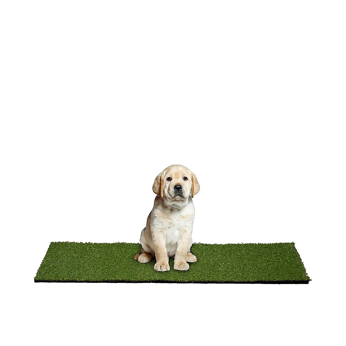 Garland Rug Puppy Pee Pad Artificial Grass Turf Rug, 24 in x 48 in, Green