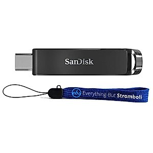 SanDisk Ultra USB 256GB Type-C Flash Drive Works with Dell XPS 13 Touch, XPS 15, XPS 17, XPS 13 2-in-1 PCs & Laptops (SDCZ460-256G-G46) Gen 1 USB 3.1 Bundle with (1) Everything But Stromboli Lanyard