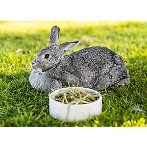 PremiYum Standlee Western Timothy Grass Hay Small Animal Food for Rabbits, Guinea Pigs, and Chinchillas, 20 lb. Box