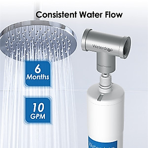Waterdrop AP431 AP430SS Whole House Scale Inhibitor Filter, Heater Softener System, Prevent Scale Build Up On Hot Water Heaters, Pipes and Boilers