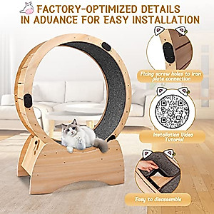 Hooseng Cat Exercise Wheel, Cat Treadmill with Carpeted Runway and Noiseless Roller, Cat Running Wheel for Pet Loss Weight and Daily Exercise