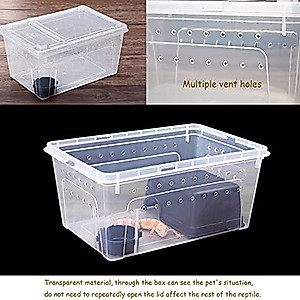 kathson 2PCS Reptile Feeding Box Portable Small Snake Terrarium Habitat Mini Pet Breeding Cage Hatching Container Transparent Gecko Houses for Small Frog Tarantula Spider Scorpion (White)
