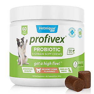 Vetnique Labs Profivex Probiotics for Dogs All Natural Dog Chews & Powder for Digestive Health Probiotic Supplements for Dogs 5 Strains of Probiotics & Prebiotics (Soft Chews, 60ct)