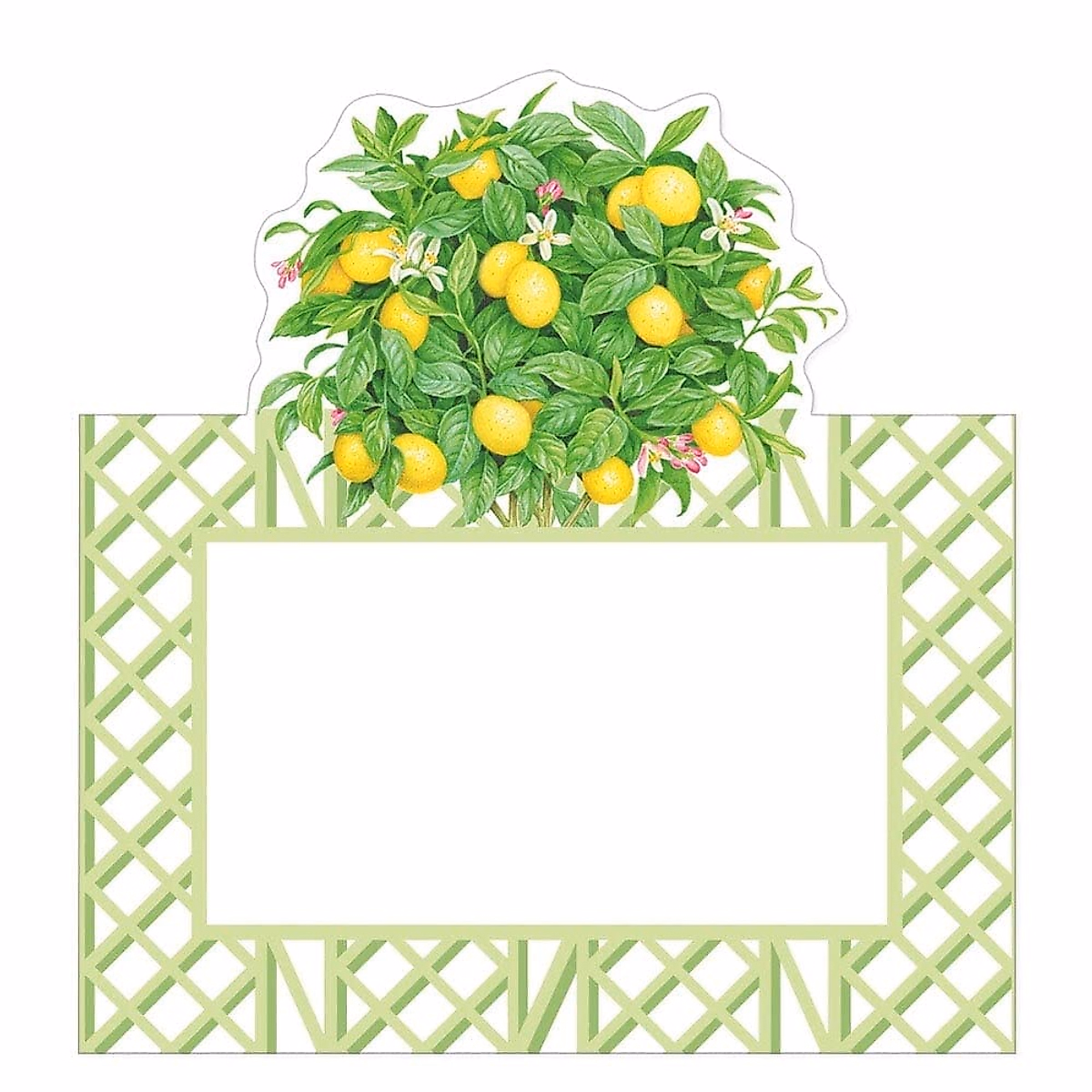 Caspari Citrus Topiaries Die-Cut Place Cards, 40 Count