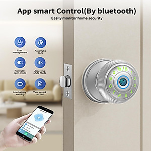 Fingerprint Door Lock,Smart Door Knob,biometric lock, keypad entry,keyless handle.Ideal for bedroom,home,hotel,office,apartment.Enhances security & convenience. (Silvery)