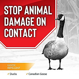 Messina Wildlife GS-C-032 Goose Stopper Quart Concentrate, 1 quart