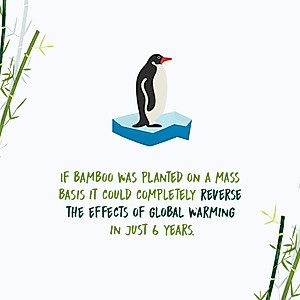 NooTrees Bamboo Toilet Tissue, Tree Free, 100% Biodegradable, Sustainable, Renewable and FSC Certified 3-ply Toilet Paper, 220 Sheets, 12 Rolls, Pack of 1