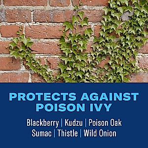 BioAdvanced Brush Killer Plus, Ready-to-Use, 1 Gal – Kills Tough Brush Roots & All, Kills Poison Ivy