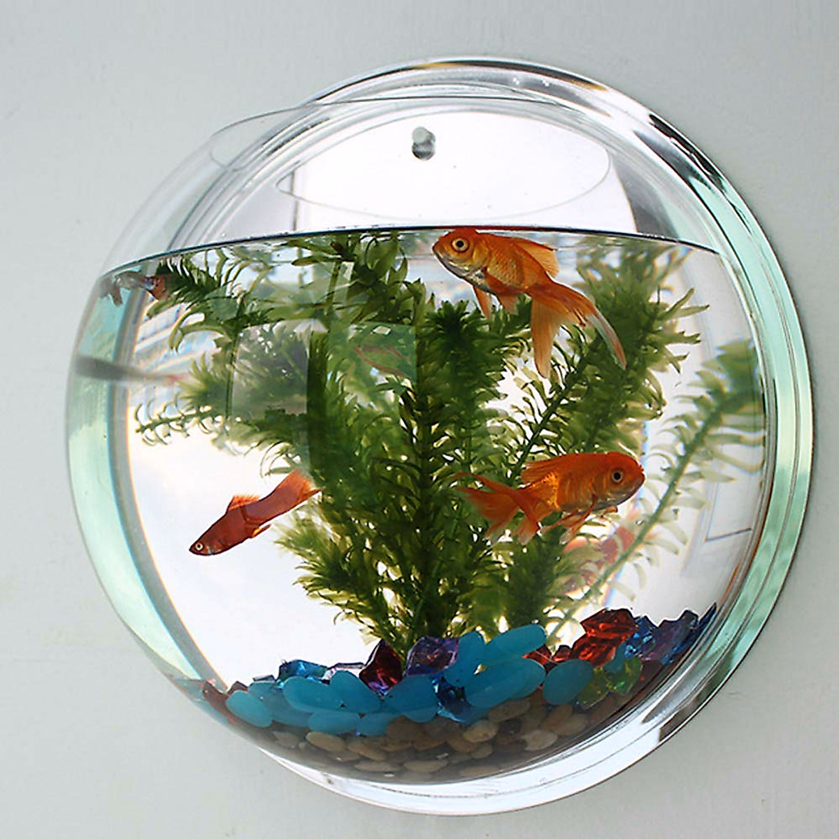 Fish Tank Wall Hanging Aquarium Round Acrylic Pot Plant Wall Mounted Bowl Aquarium Home Decoration Aquatic Pet Supplies Fish Tank 23cm