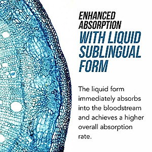 Organic Methyl Folate 1000 mcg + Methyl B12 Cofactor (300 Servings) – Metabolically Active 5-MTHF Form, Organic Berry Flavor, Liquid Sublingual Form – Mood, Cognition, Methylation, Pregnancy (1oz)