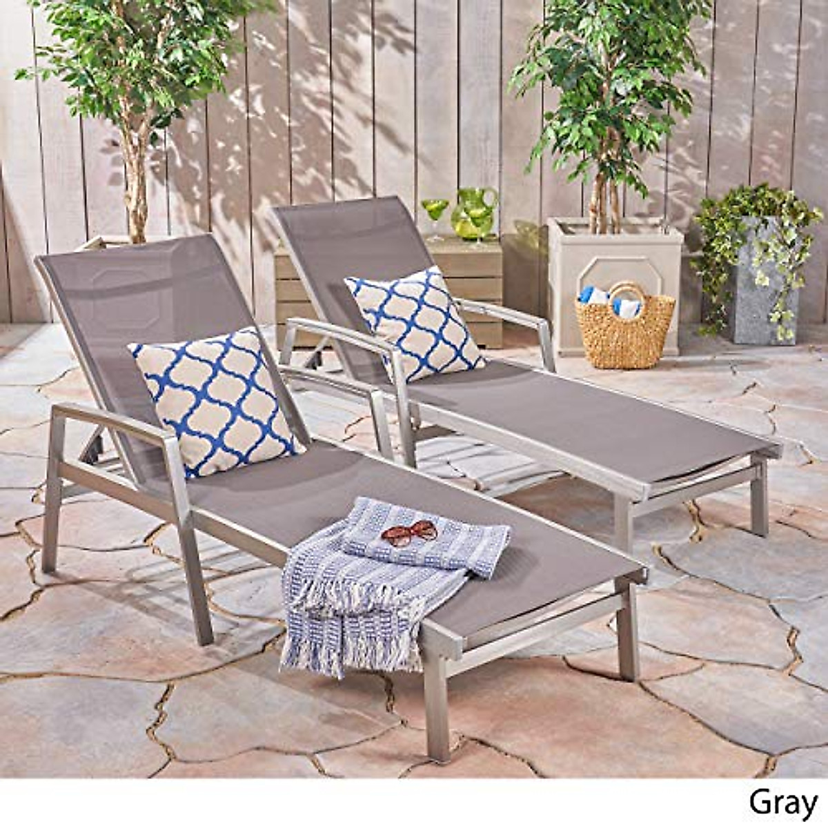 Christopher Knight Home Joy Outdoor Mesh and Aluminum Chaise Lounge (Set of 2), Gray