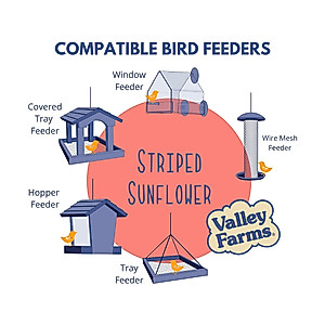 Valley Farms Striped Sunflower Wild Bird Seed for Outside Feeders, Striped Sunflower Seeds for Birds, Sunflower Wild Bird Food (25 LBS)