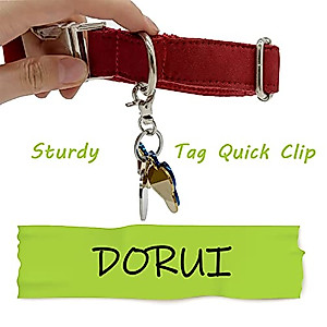 DORUI Dog Tag Clips 2 Pack Easy Change for Pet ID Tag Quick Clips Small Medium Large Dogs and Cats Collars|Silver|
