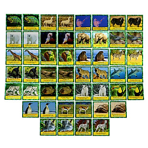 Memory Game - Animal Matching Game for Kids Ages 3 and Up - Animal Card Game Educational Learning Toy - Birthday for Boys and Girls (50 Pcs Matching Cards with 25 Pairs)