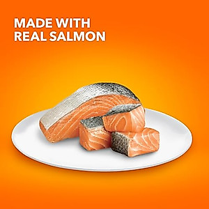 IAMS Proactive Health Adult Indoor Weight & Hairball Care Dry Cat Food with Salmon, 7 lb. Bag