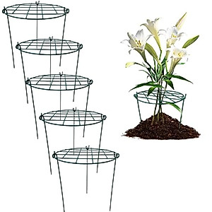 MTB Supply MTB 16 x 24 inch Grow Through Plant Support, Flower Stakes Hoops Heavy Plants Brace Ring，Grow Through Plant Supports Ring Hoop, Plant Brace Flower Support Rings,Pack of 5