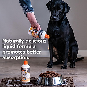 DOGGESS Dressing Best Hip and Joint Supplement for Dogs, Glucosamine & Chondroitin/Joint Health/Salmon Oil for Dogs Skin and Coat Health, Delicious Beef Gravy Flavor - 16 Oz Pack of 1