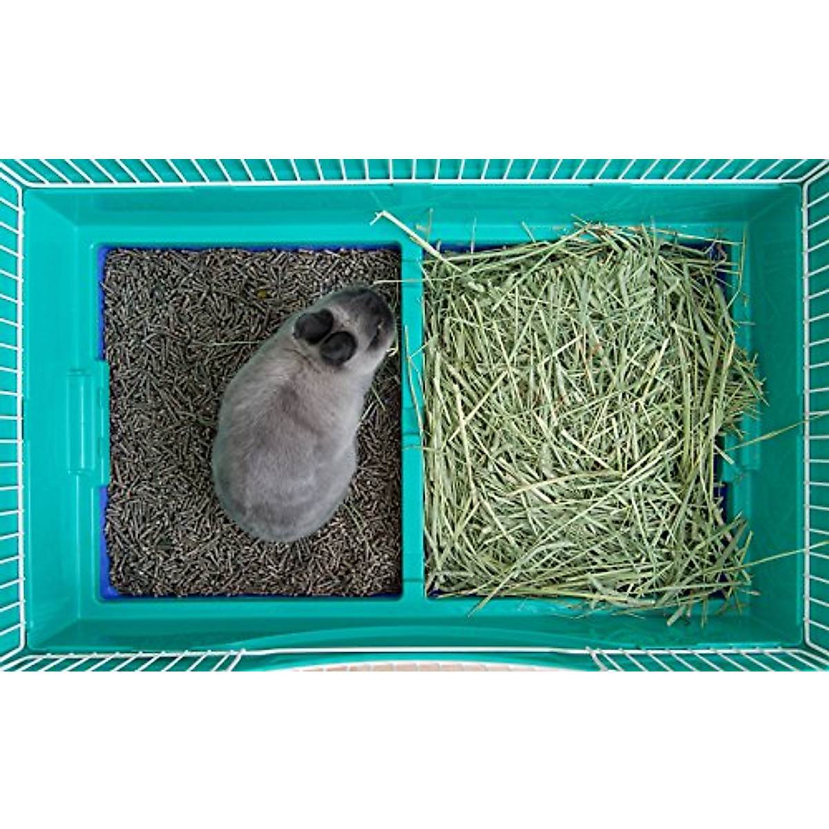 IRIS USA Large Portable Wire Rabbit Cage with Top Access and Two Tray Division, Easy Access Secure Lock and Easy to Clean Movable House for Small Sized Animals Rabbit Guinea Pigs Rat Hamster, Green