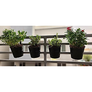 GARDEN4LIFE 6.25 Inch Large Iron Hanging Plant Pot Set - Planters for Indoor Plants & Outdoor Flora w/Drainage Hole, Detachable Hook - Ideal Balcony Planters Fence Railing Hanging Pots - 4Pcs Black