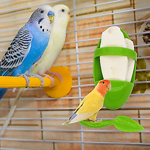 Cuttlebone Holder for Bird Cage | Cuttlebone Stand Cuddle Bone Feeding Cup Rack | Cuttlefish Bone Beaks, Natural Birds Calcium Parrots Cockatiels Budgie Lokoo