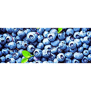 Plantooo 300+ Blueberry Seeds for Planting - Non-GMO - Organic Friut Blueberry Bush Seeds to Plant Garden/Outdoor/Bonsai