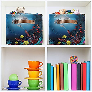 Sea Ocean Animal Dolphin Fish Storage Bin Canvas Toys Storage Basket Bin Large Storage Cube Box Collapsible with Handles for Home Office Bedroom Closet Shelves,1 pc