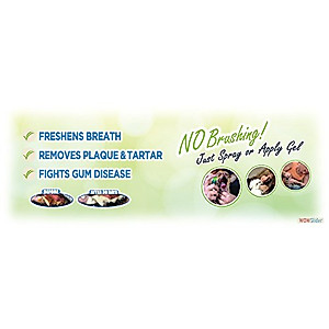 PetzLife Peppermint Oral Care Gel, 1 oz