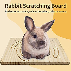 BNOSDM Rabbit Scratch Board, 2 Pack Bunny Scratching Pad Hamsters Nail Scratch Pad Natural Wood Small Animals Grinding Claw Chew Toys for Chinchillas Guinea Pigs Hedgehog Ferret Claws and Teeth Care