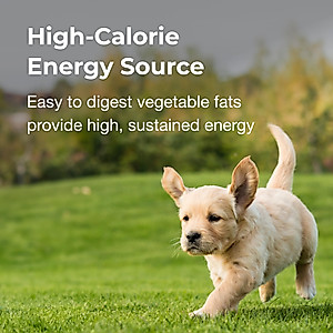 Pet-Ag High Calorie Gel Supplement for Dogs - 5 oz - Chicken Flavor - Provides Extra Calories for Dogs 8 Weeks and Older - Easy to Digest