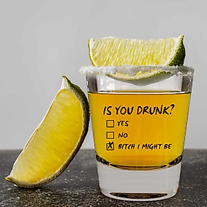LitGifts Is You Drunk Shot Glass, Cute Shot Glasses for Women or Men, Funny Shot Glasses for Adults, Fun Gifts for Men or Women, Silly Drinking Glasses for Adults, 1.75 Ounce Glass Shot Glass