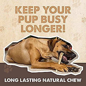 Mighty Paw Elk Antlers for Dogs | Medium Size 6" Premium Deer Antlers for Dogs, Pets and Puppies. Long Lasting Deer Antler Dog Chew for Aggressive Chewers. Dog Antler Chews for Large and XL Dog