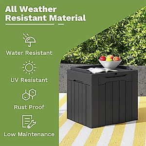 Patiowell 30 Gallon Resin Deck Box, Outdoor Storage Box for Patio Furniture, Deliveries, Pool Supplies,Waterproof and Lockable, Black