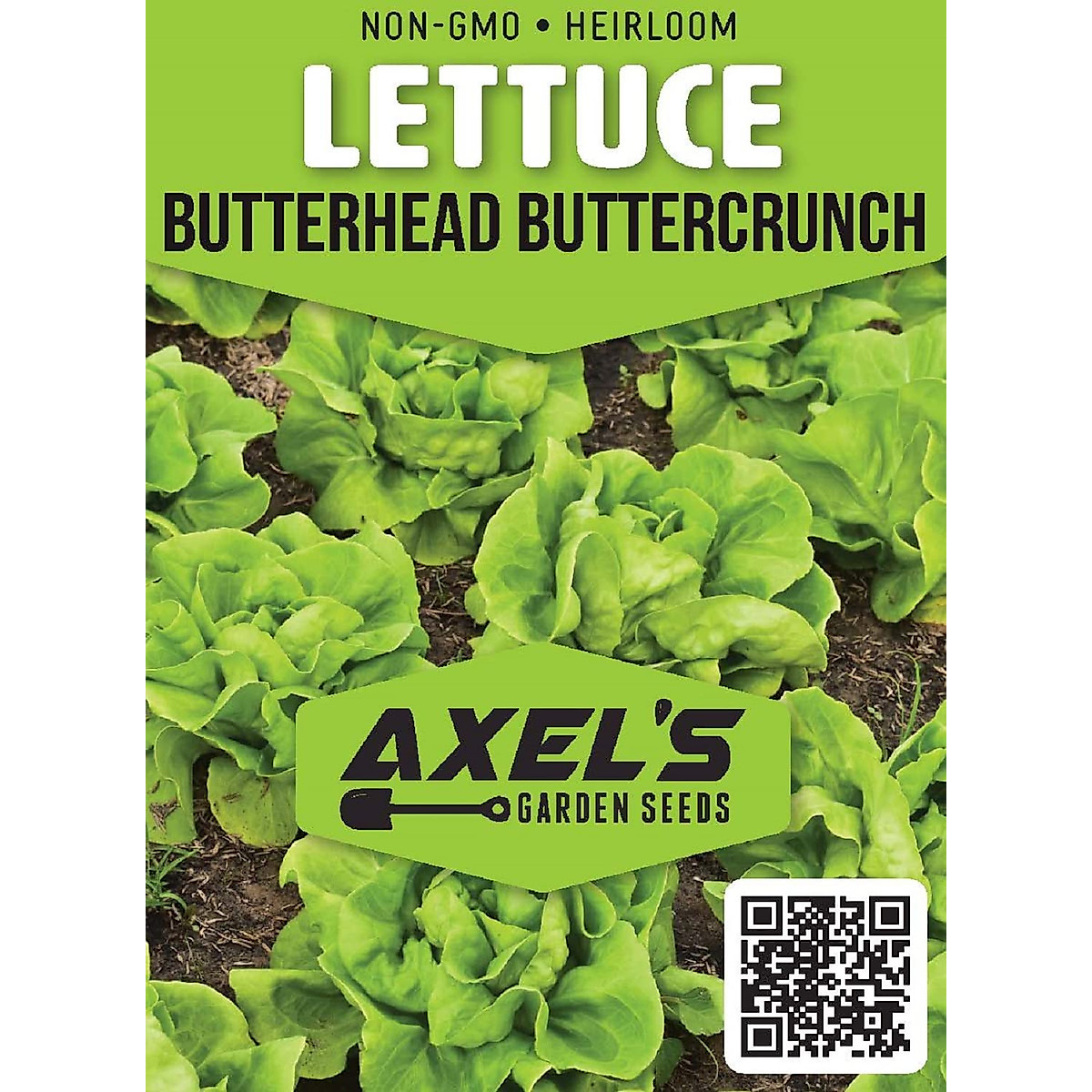 Lettuce Seeds for Planting - Plant & Grow Buttercrunch Lettuce Indoor/Outdoor Hydroponic Home Vegetable Gardens - 500 Heirloom Non GMO Seeds per Packet with Instructions, 1 Packet