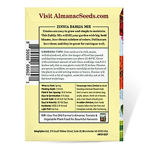 The Old Farmer's Almanac Zinnia Seeds (Dahlia Mix) - Approx 200 Flower Seeds - Premium Non-GMO, Open Pollinated, USA Origin