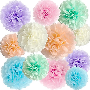ANSOMO Pastel Tissue Paper Pom Poms Party Decorations Rainbow Ice Cream Easter Flowers Wall Hanging Décor Supplies Birthday Bridal Baby Shower Colorful Pink Purple Peach Mint Green Blue Ivory