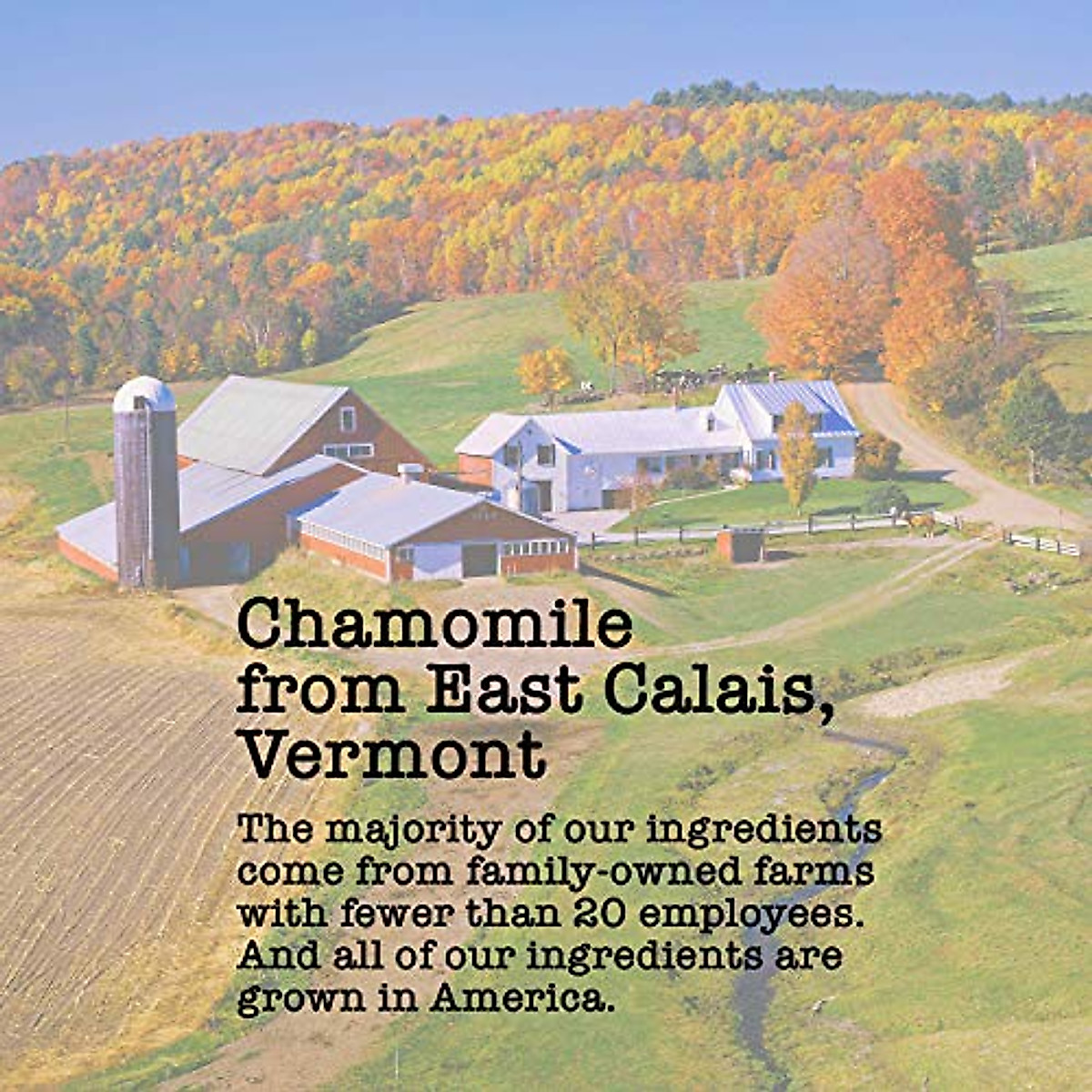 Sleepynight Tea Extra Strength, 45-60 Servings, Eco-Conscious Zip Pouch, Caffeine Free, Pure Loose Leaf Tea Grown in America, 5 Ounce (Medium)