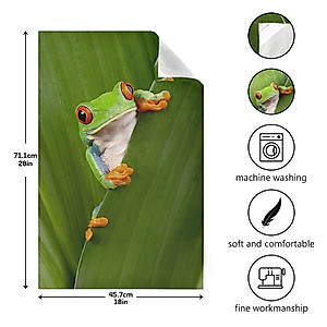 Red Eye Frog Kitchen Towels Green Leaf Dishcloths Set 4 Pack Hand Dish Towel Tea Bar Towels 18 x 28 in Cleaning Cloths Soft Absorbent Fast Drying for Cooking Baking