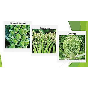 Premium Winter Vegetable Seeds for Planting Organic Non-GMO Heirloom Seeds 12 Varieties: Radish, Pea, Broccoli, Beet, Carrot, Cauliflower, Green Bean, Kale, Arugula, Cabbage, Asparagus, Brussel Sprout