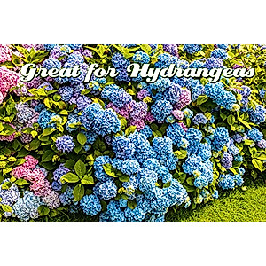 I Must Garden Soil Sulfur Pellets: Organic Soil Acidifier | Naturally Promotes Lush Growth – 5lb Shaker Jar