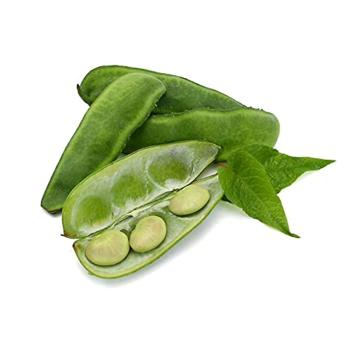 Burpee Improved Lima Bush Bean Seeds for Planting, 30+ Heirloom Seeds Per Packet, (Isla's Garden Seeds), Non GMO Seeds, Botanical Name: Phaseolus lunatus, Great Home Garden Gift