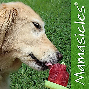 Popsicles Molds with Sticks 6 Individual Pieces BPA Free Popsicle Holders for Kids Reusable Plastic Ice Pop Mold with Silicone Funnel and Cleaning Brush by Mamasicles