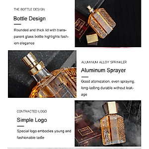 DADASHAO Dubai Men's Perfume - Elegant & Long Lasting Scent, Eau de Toilette Vapurisateur Spray (A 100ml)