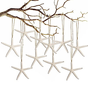 20 PCS Christmas Starfish Ornaments 3-4'' Natural Starfish Ornaments, with Rope for Christmas Tree Hanging Ornaments Beach Theme Wedding Home Starfish Decor & DIY Crafts
