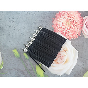 20 Silver 3-1/2 Inch Faux Suede Tassel Charm Keychain Cellphone Straps D451 (Black)