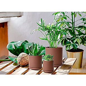 D'vine Dev Rust Terracotta Pots, Set of 3, Clay Planters for Indoor Plants, Succulent Planter Pot with Drainage Hole and Saucer, 4.2 Inch 5.3 Inch 6.5 Inch, 40-A-T-0