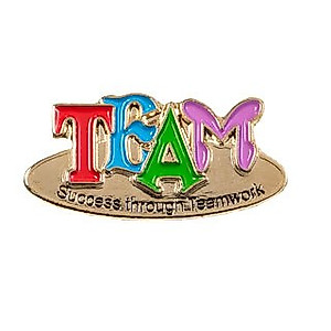 Trainers Warehouse Success Through Teamwork Lapel Pins, Great for Educational and Team Building (10/Set)