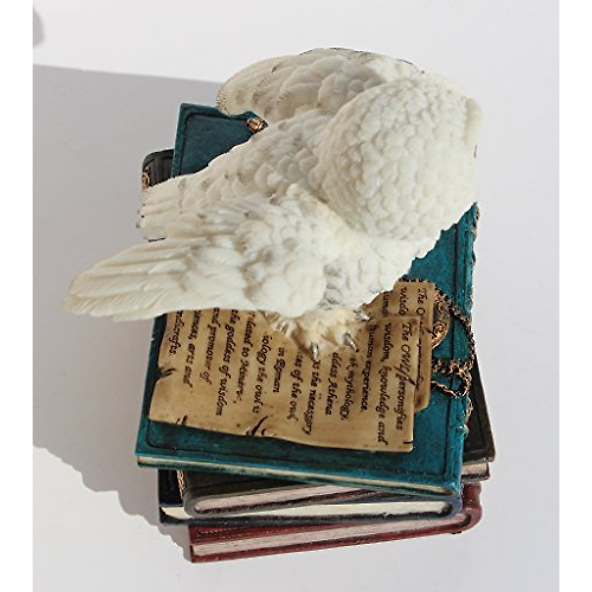 US 4.75 Inch Snow Owl Flap Wings on Books Trinket Box, White Color