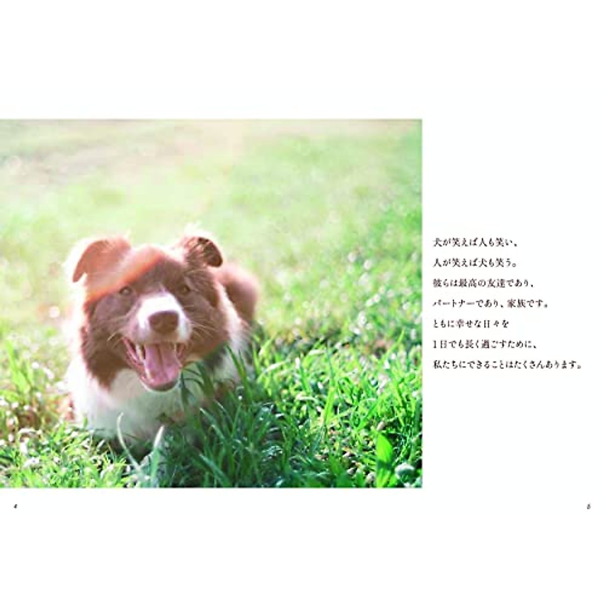 犬のいる暮らし 一生パートナーでいるために知っておきたいこと