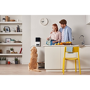 [2017 Item ] Petcube Bites Pet Camera with Treat Dispenser: HD 1080p Video Monitor, 2-Way Audio, Night Vision, Sound and Motion Alerts. For Dogs and Cats, Matte Silver (PB913NVTD)