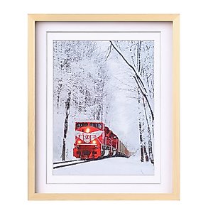 Egofine 16x20 Poster Frame Solid Wood Frame with Plexiglass Matted for 11x14/12x16 for Wall Mounting Hanging Picture Frame Vertically or Horizontally, Natural Wood